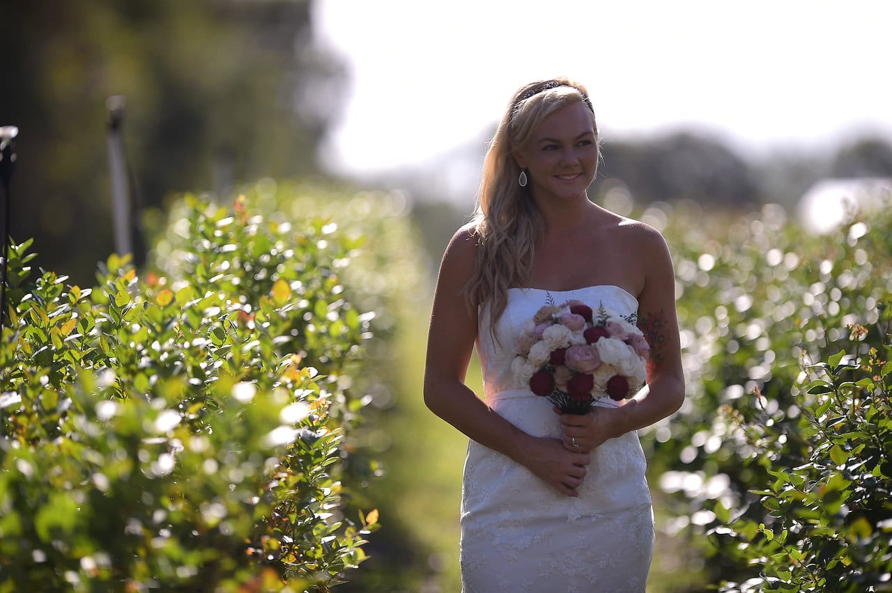 Ever_After_Farms_Blueberries_Bride_1 - Ever After Farms