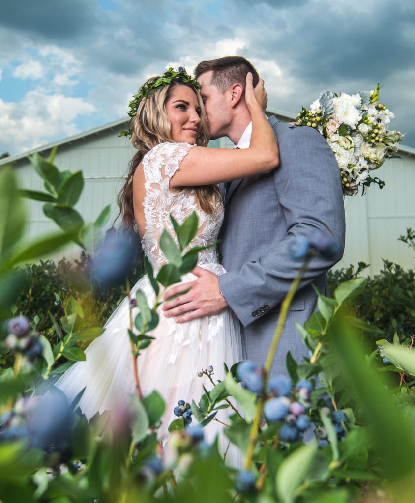6 Ways to Add Blueberries to Your Wedding - Ever After Farms