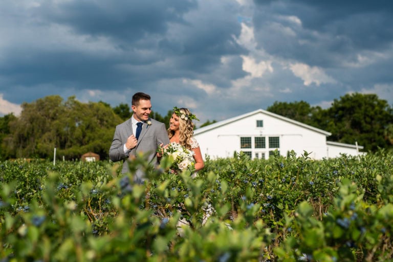 6 Ways to Add Blueberries to Your Wedding - Ever After Farms