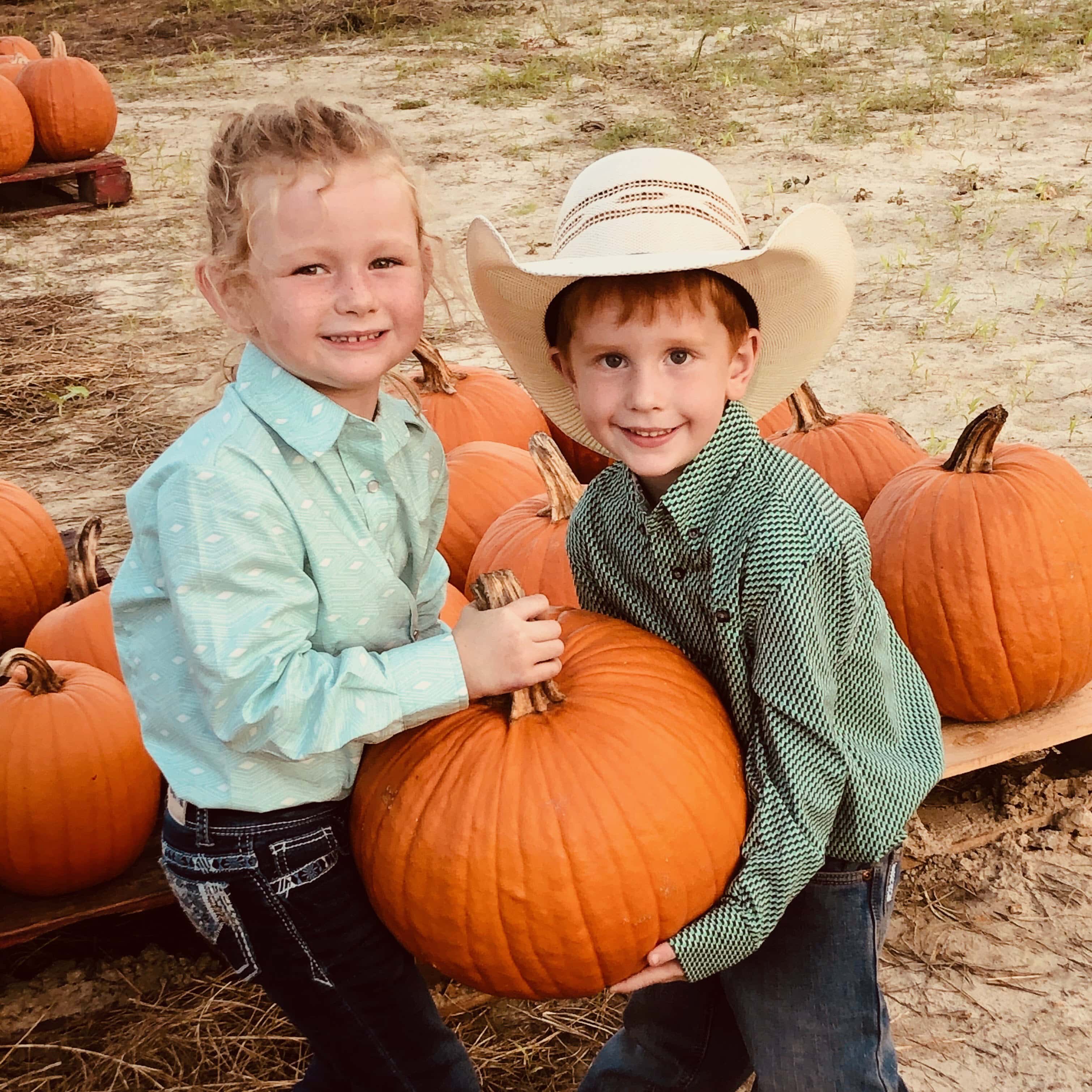 Ever After Farms Fall Family Fun - Ever After Farms