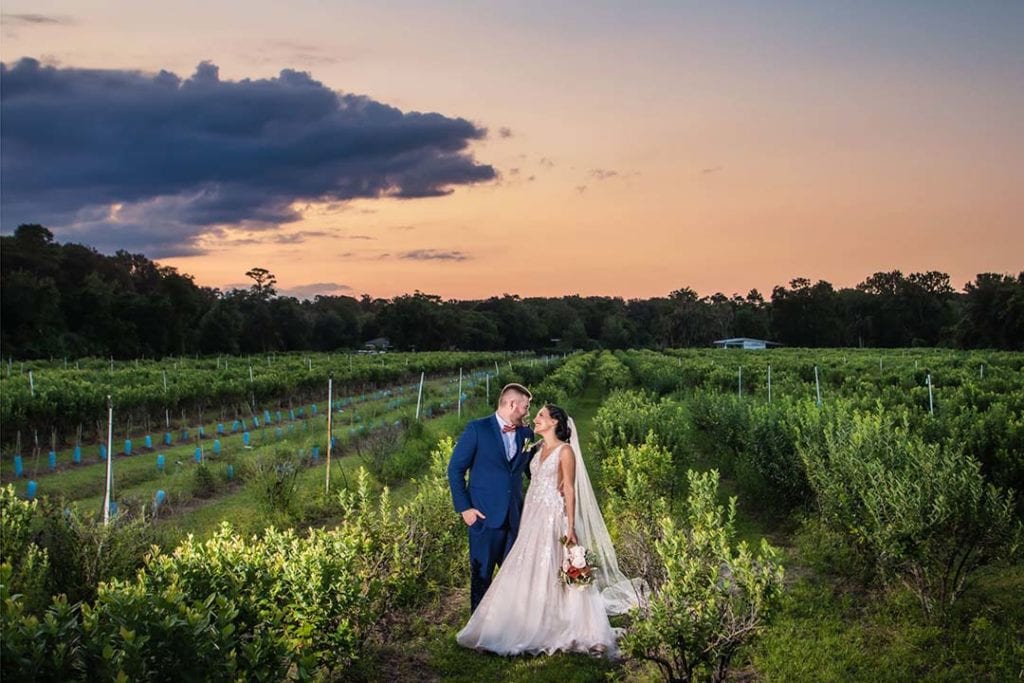 Blueberry Barn - Ever After Farms