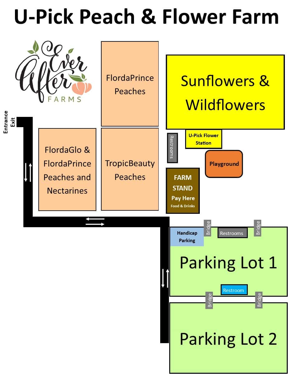 Peach Farm Map - Ever After Farms