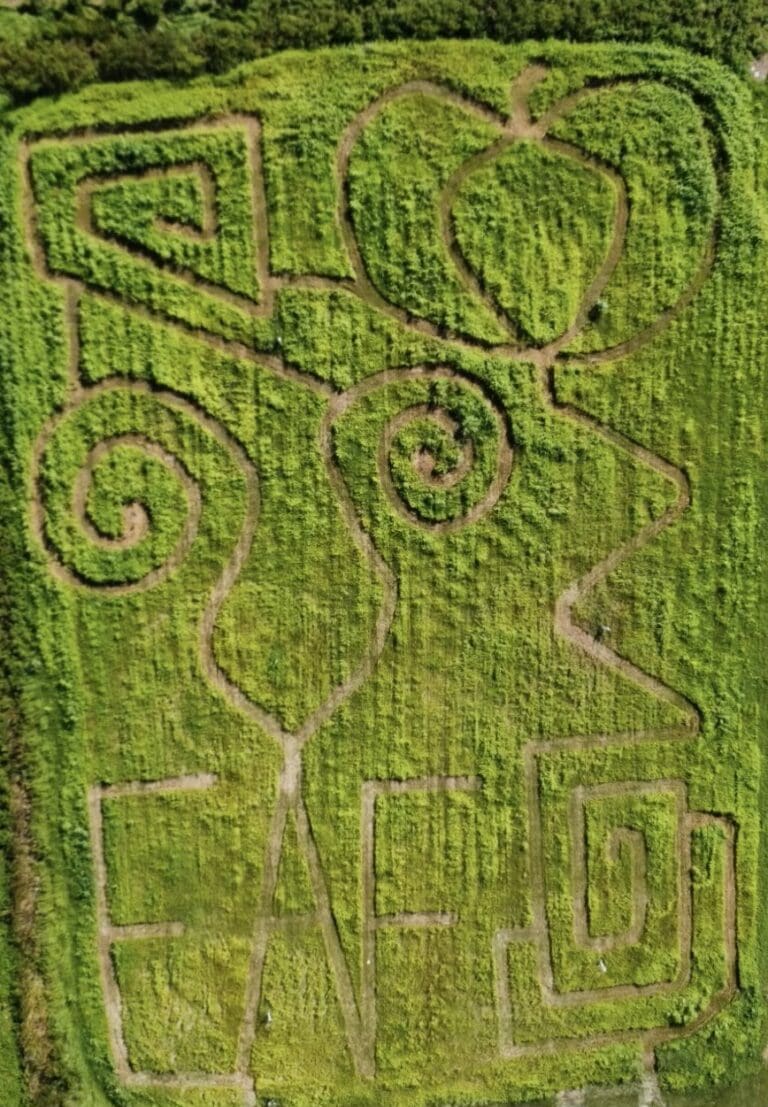 Crop Maze Map - Ever After Farms