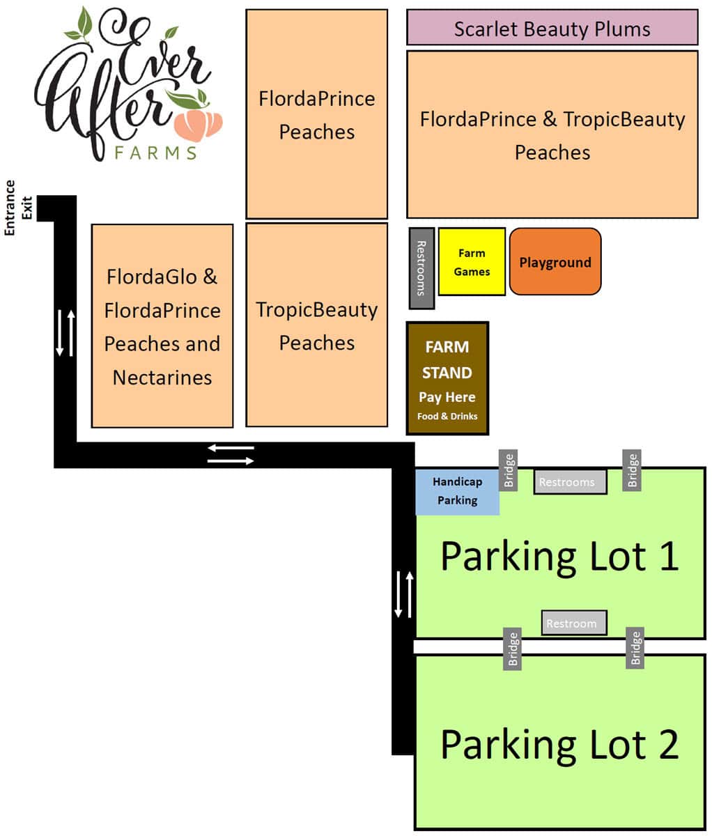 U Pick Peach Farm Schematic 2024 - Ever After Farms