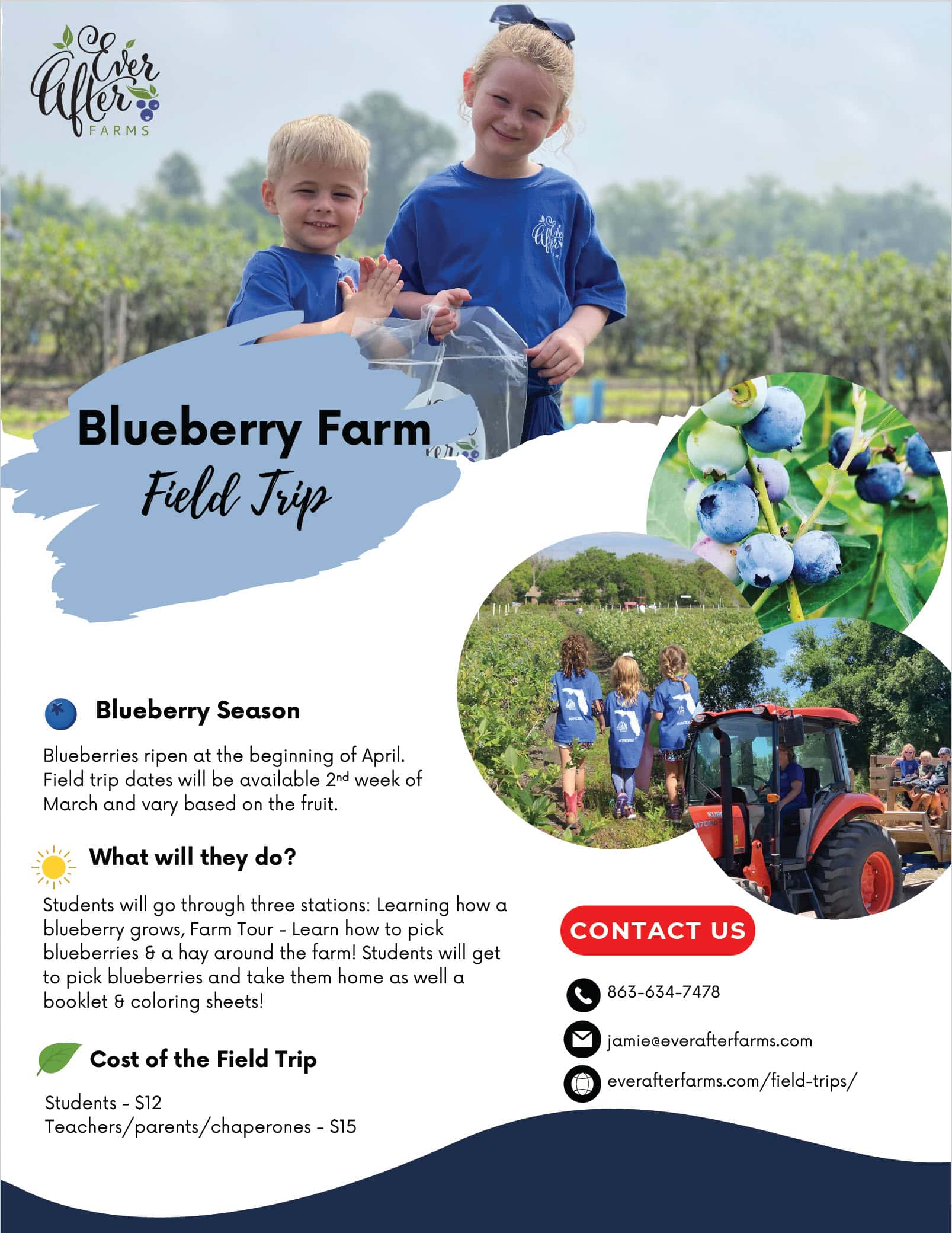 U-Pick Blueberries - Ever After Farms