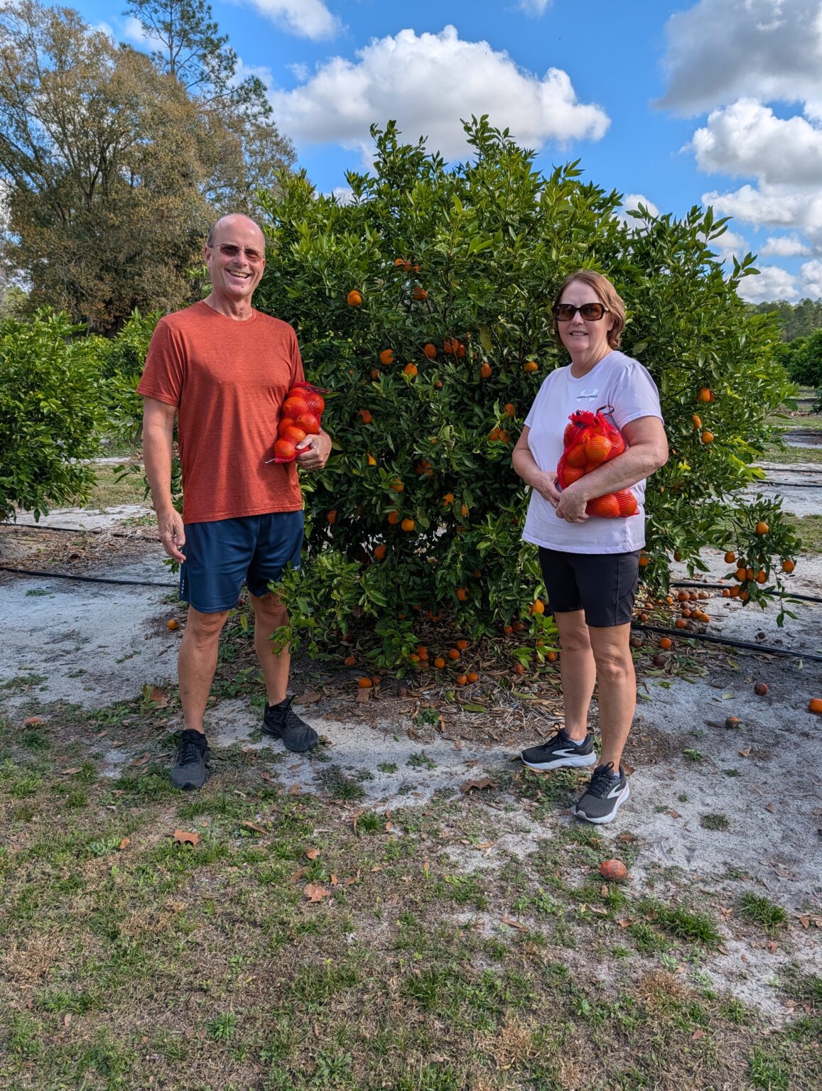 U-Pick Oranges - Ever After Farms